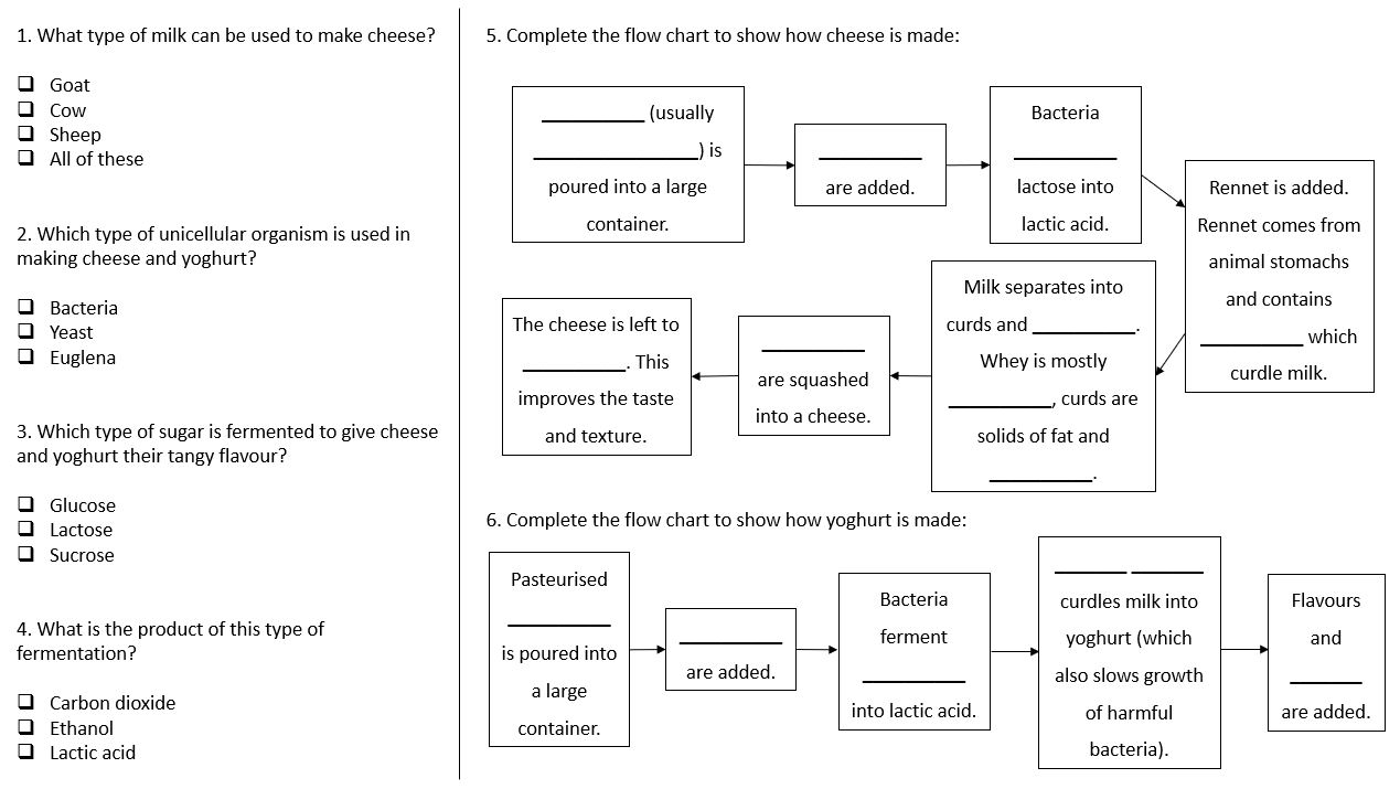 Biotechnology ~ KS3 ~ Year 9 | Teaching Resources