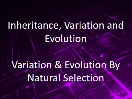New AQA (9-1) GCSE Biology IVE:Variation,Natural Selection & Darwin's ...