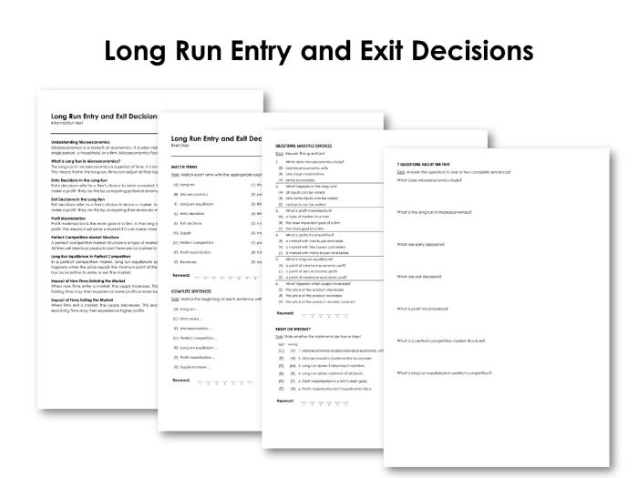 Long Run Entry and Exit Decisions | Teaching Resources