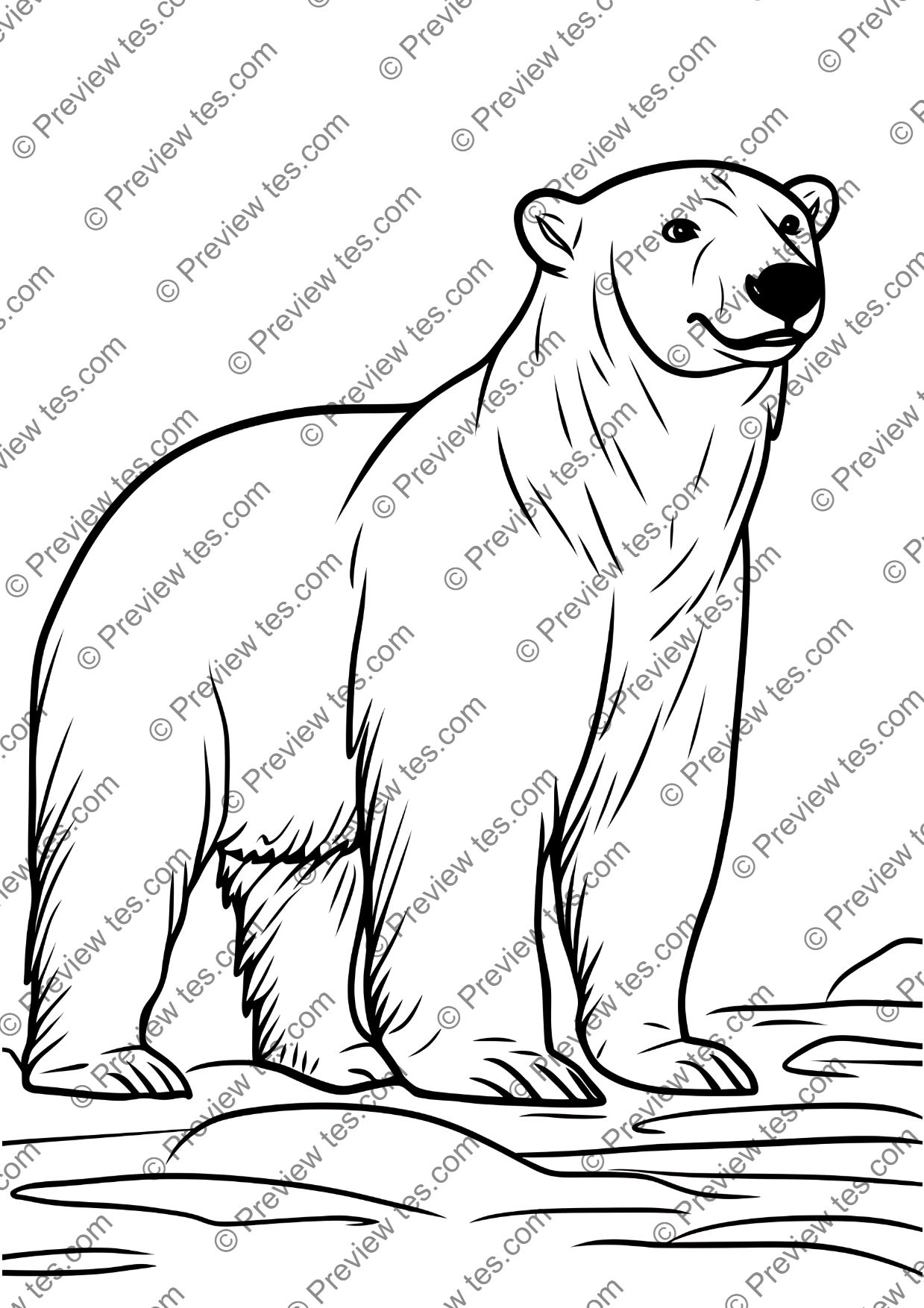 80 Polar Bear Colouring Page | Fun Arctic Animal Activity Sheet for ...