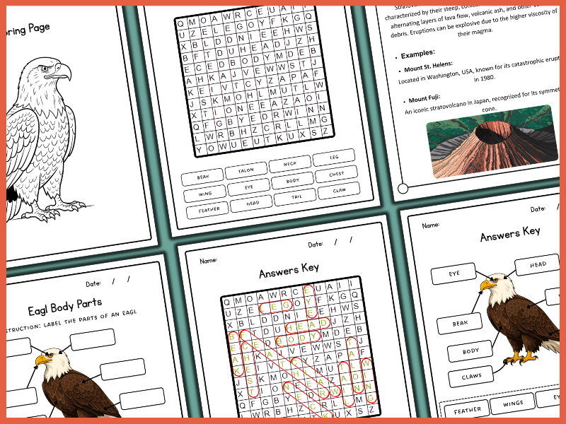 Eagle Body Parts | Bird Anatomy | Labeling | Coloring Worksheet | Birds ...