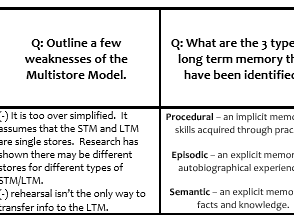 Memory Revision Cards AQA Psychology | Teaching Resources
