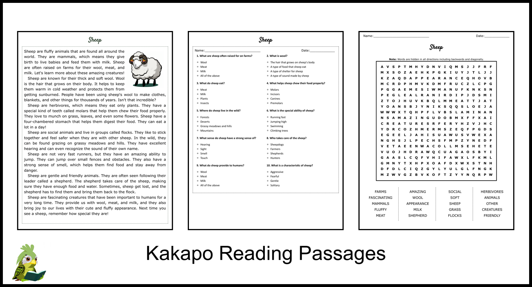 Sheep Reading Comprehension and Word Search | Teaching Resources