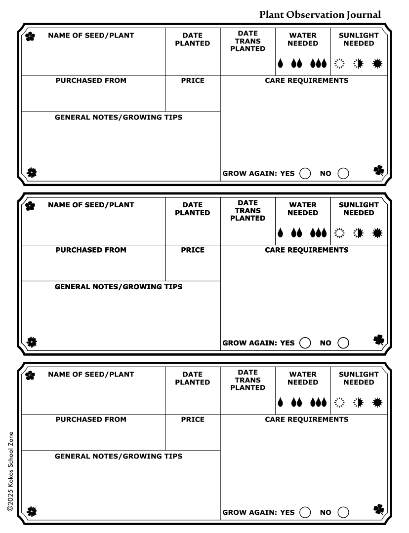 Plant & Seed Observation Sheet - KS1/KS2 Science Plant Growth Tracker ...