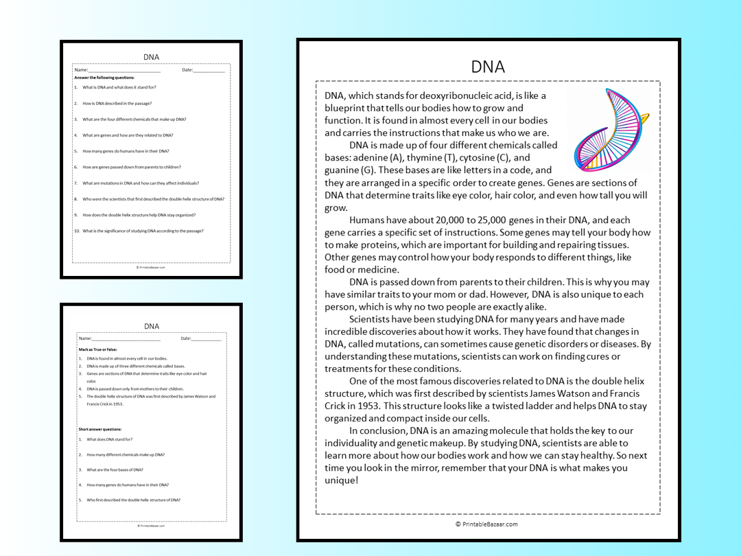 DNA Reading Comprehension Passage Printable Worksheet | Teaching Resources
