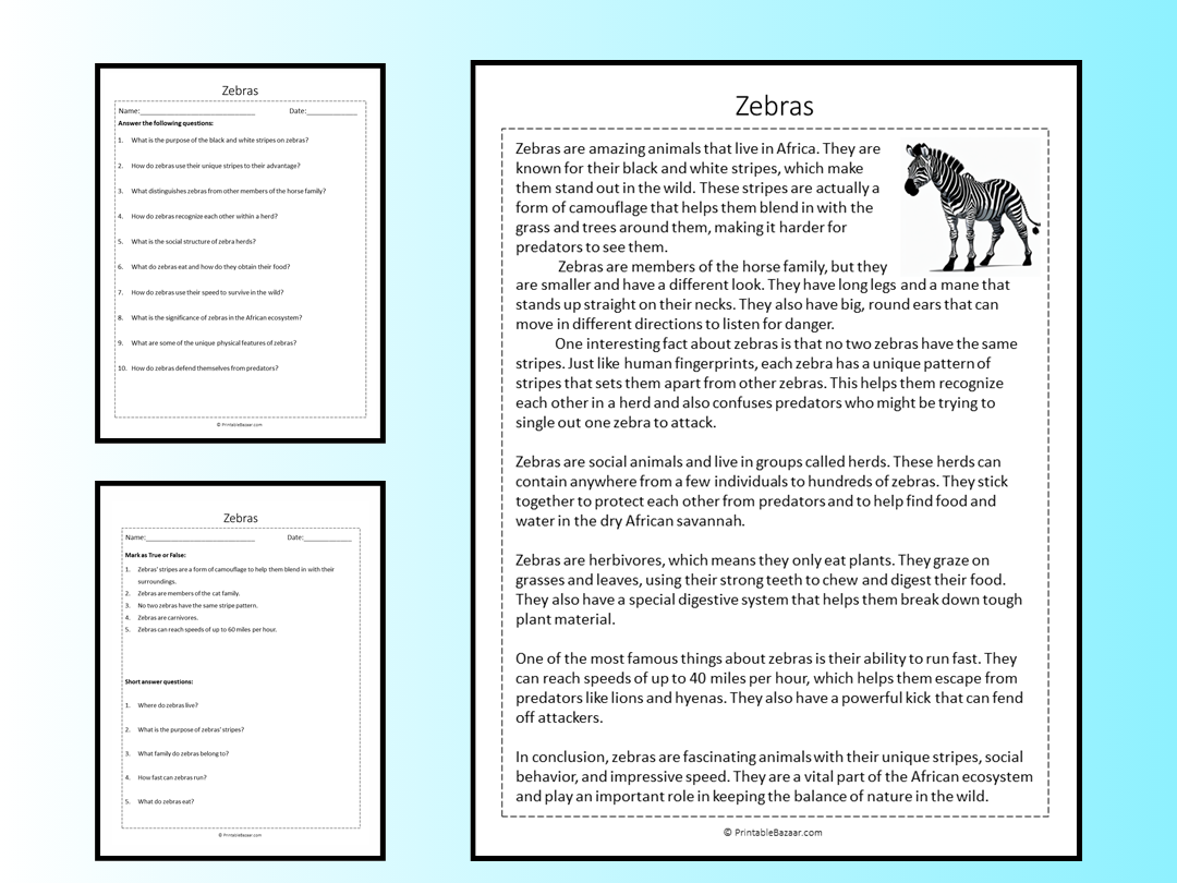 Zebras Reading Comprehension Passage Printable Worksheet | Teaching ...