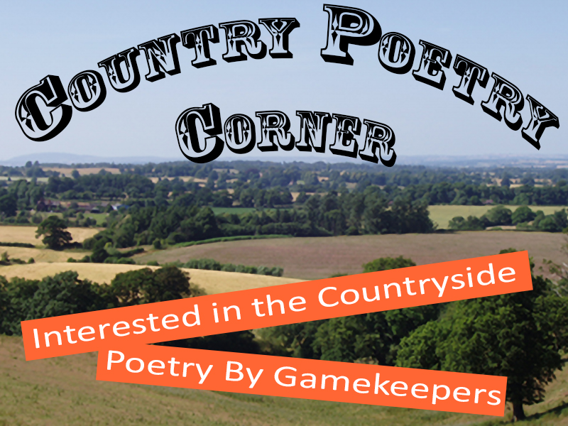 Countryside Poetry Corner Part 2 | Teaching Resources