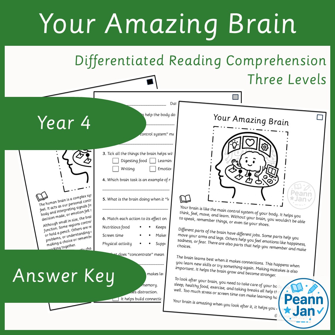 Year 4 Reading Comprehension - Your Amazing Brain | Teaching Resources