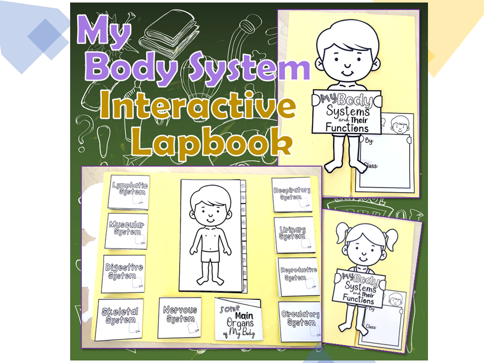 Human Body System and Some Main Organs Lapbook | Teaching Resources