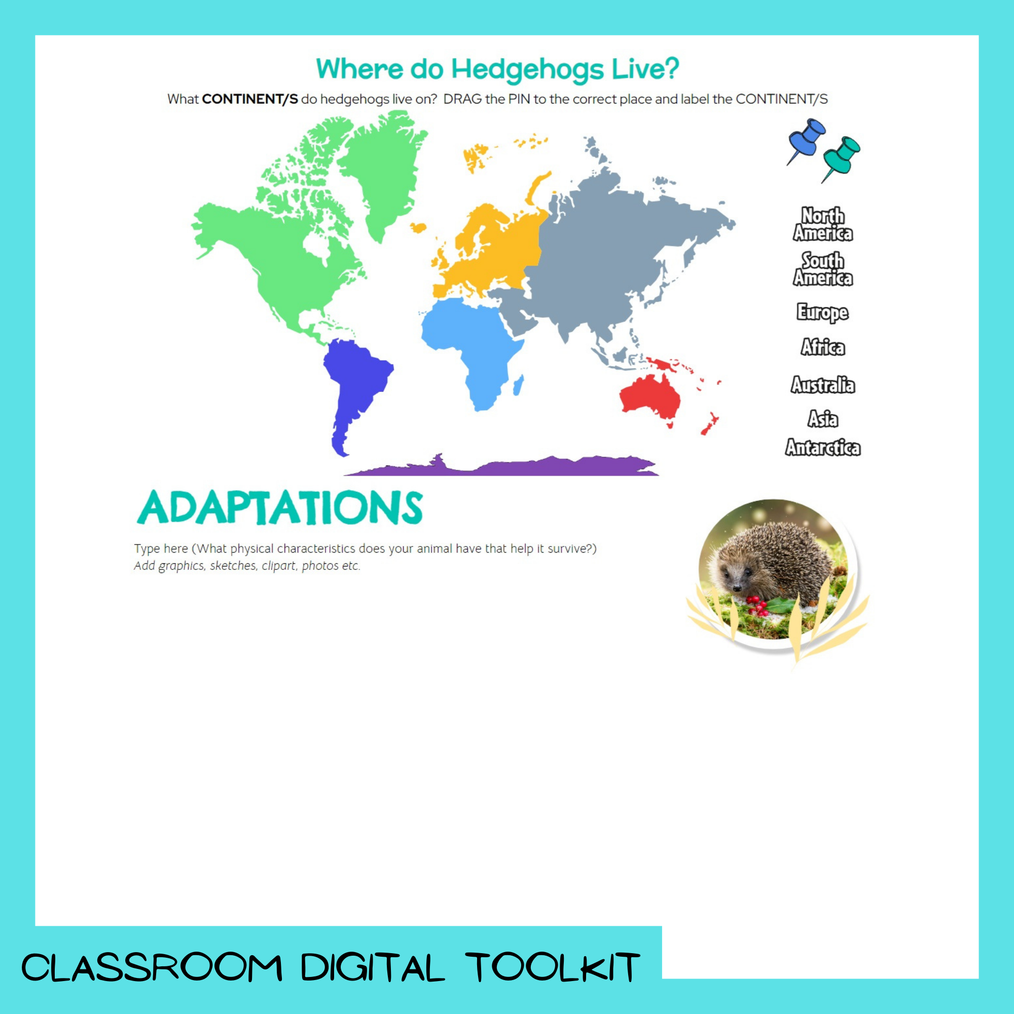 HEDGEHOG - Animal Research Project (Google Slides™) | Teaching Resources