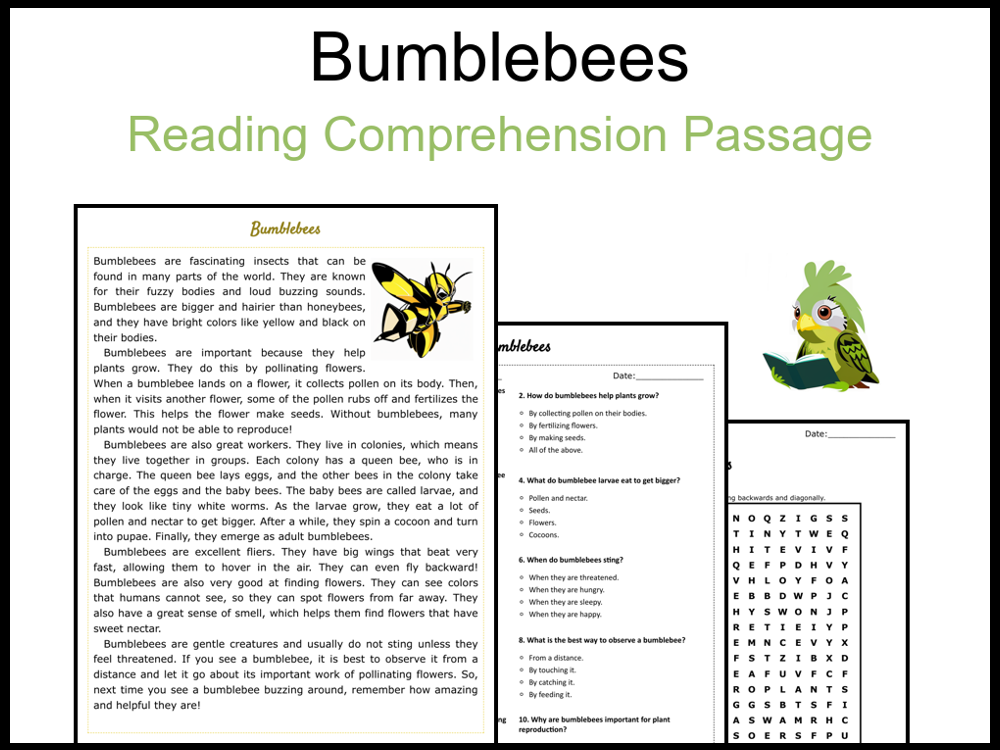 Bumblebees Reading Comprehension and Word Search | Teaching Resources