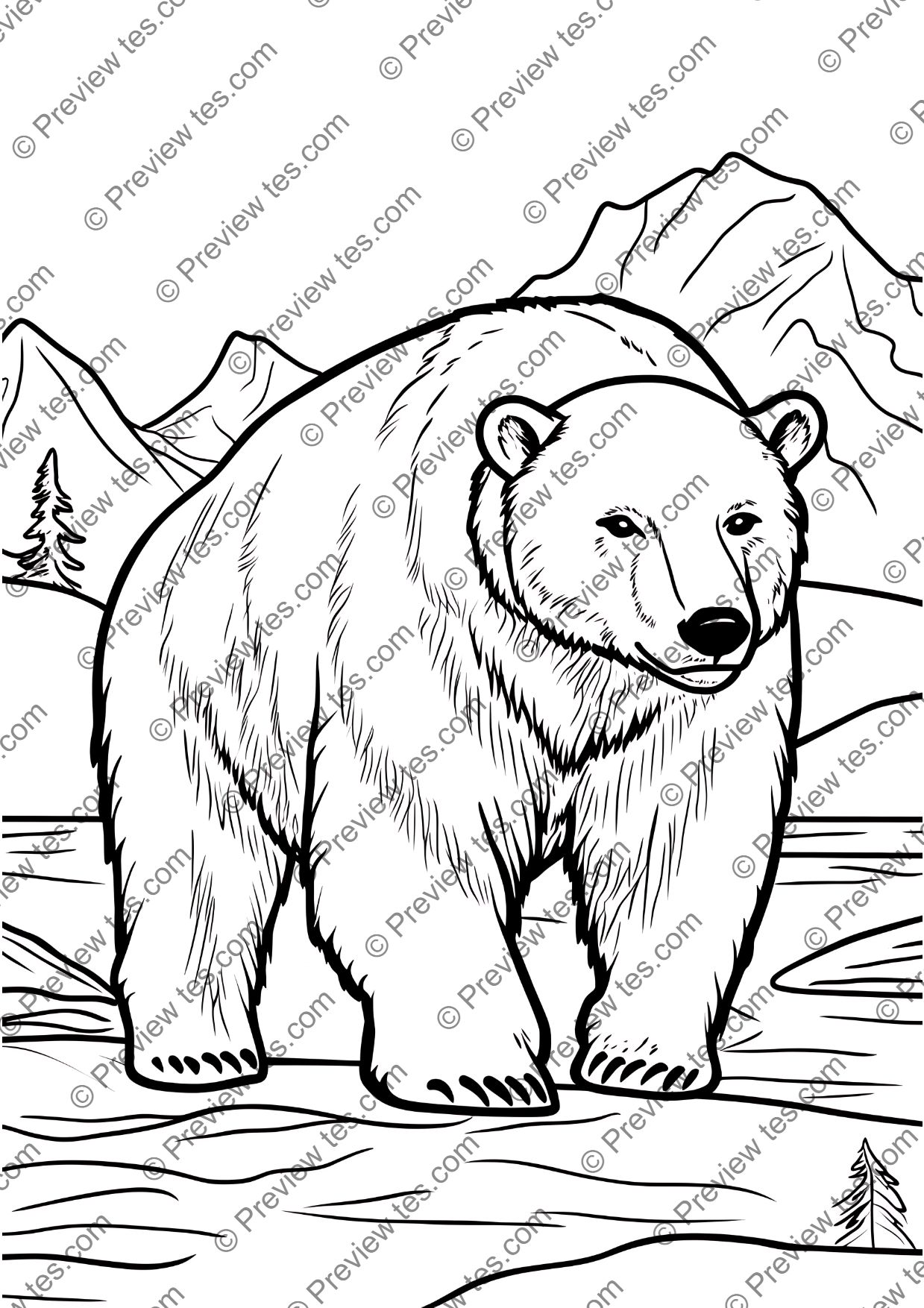 Polar Bear Colouring Sheets for Kids | Winter Arctic Animal Creative ...