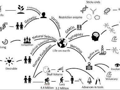 Dual Coding revision: Edexcel-Biology | Teaching Resources