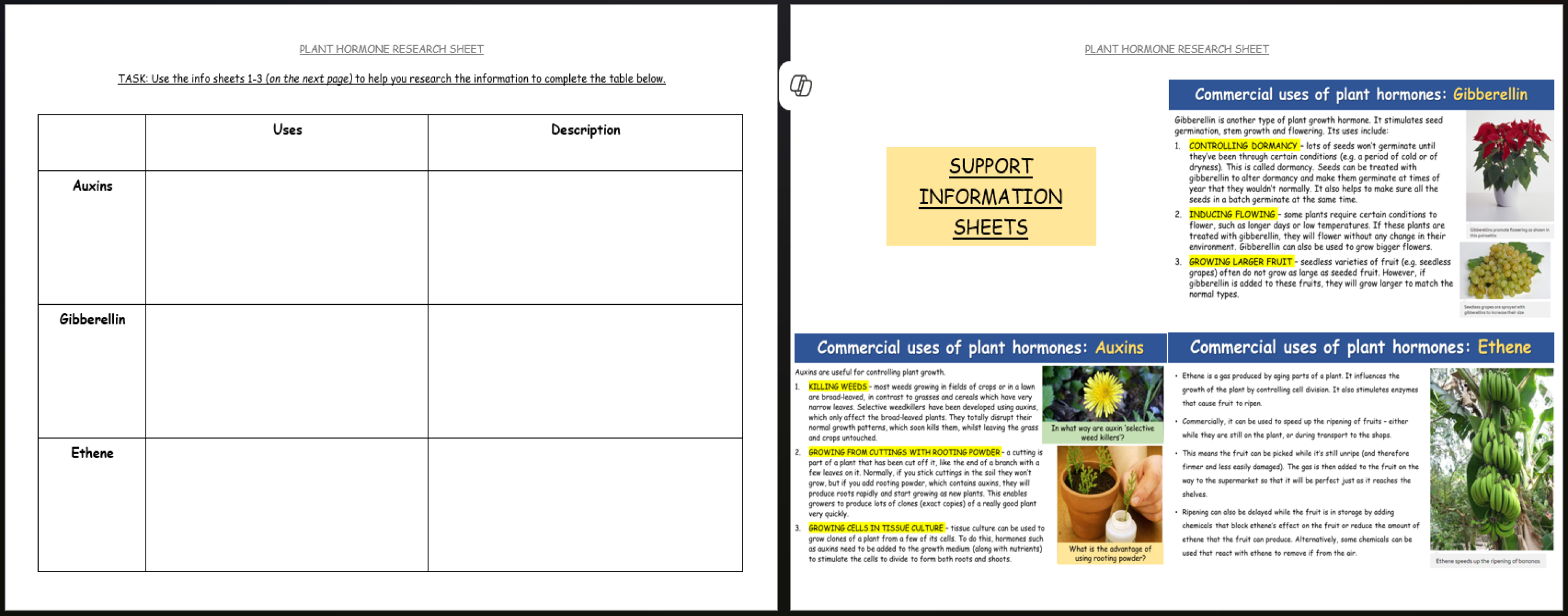 Plant Hormones AQA GCSE (9-1) Biology | Teaching Resources