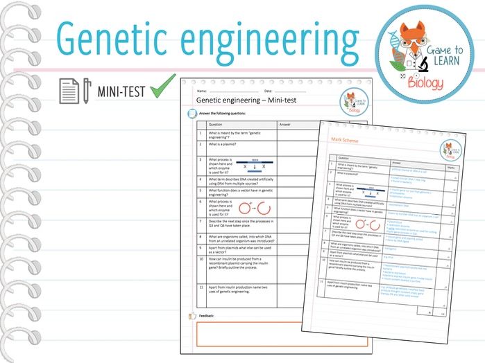 Genetic Engineering - Mini-test (KS4) | Teaching Resources