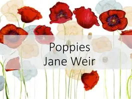 English Teacher Level 9 iGCSE guidance notes "Poppies" by Jane Weir ...