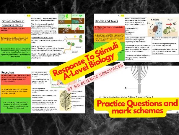 Response to Stimuli A level Biology | Teaching Resources
