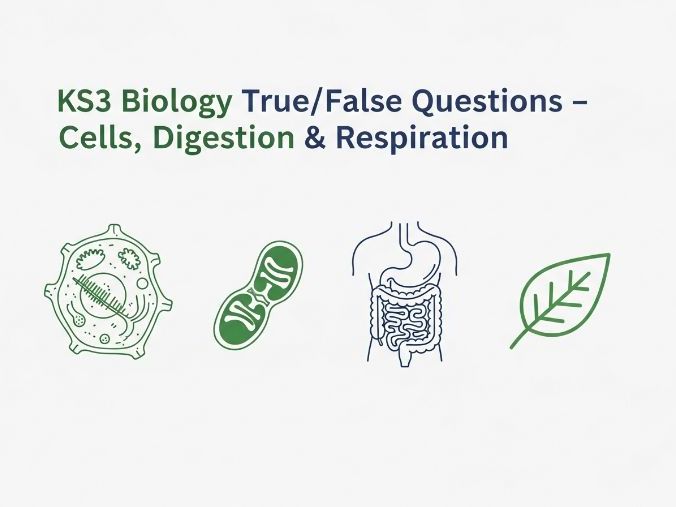 KS3 Biology True/False Questions – Cells, Digestion & Respiration ...