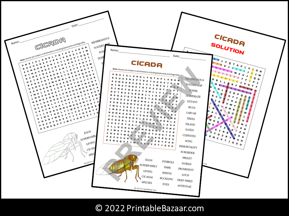 Cicada Word Search Puzzle | Teaching Resources