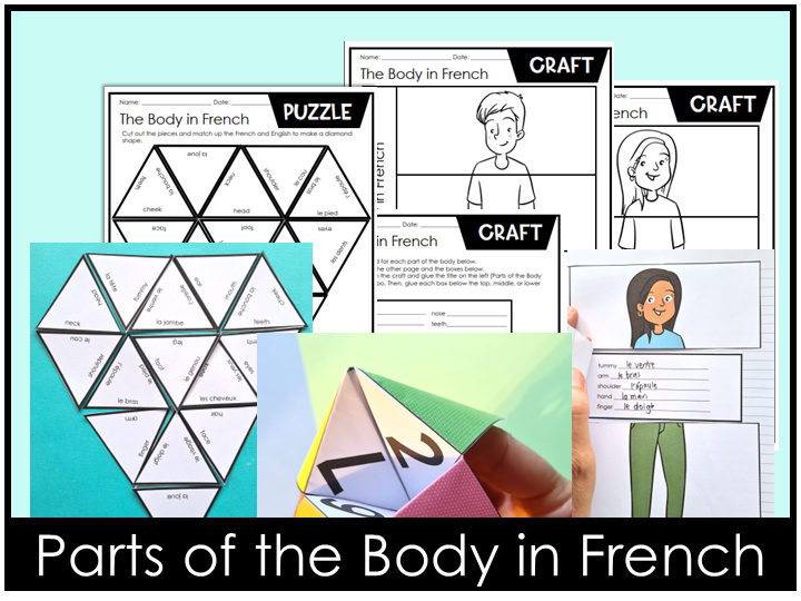 Beginner French Parts of the Body Vocabulary Les Parties du Corps ...