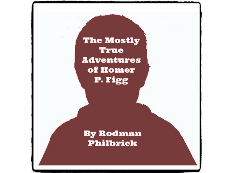 The Mostly True Adventures of Homer P. Figg - (Reed Novel Studies ...