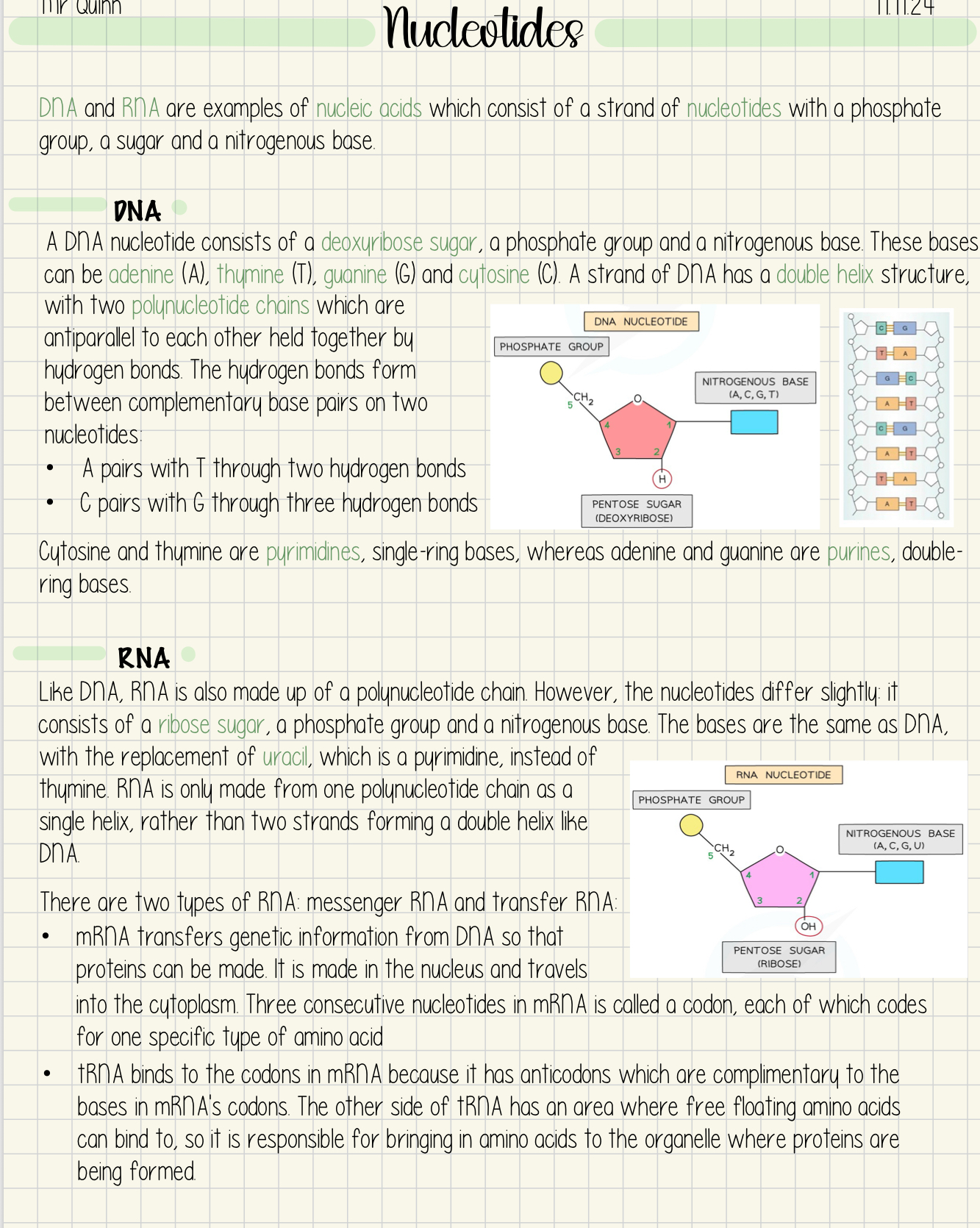A* A-LEVEL BIOLOGY NOTES - Biological Molecules | Teaching Resources