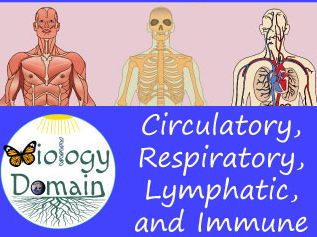 Four Weeks of Human Body Part 1 Bellringers Warm Ups | Teaching Resources