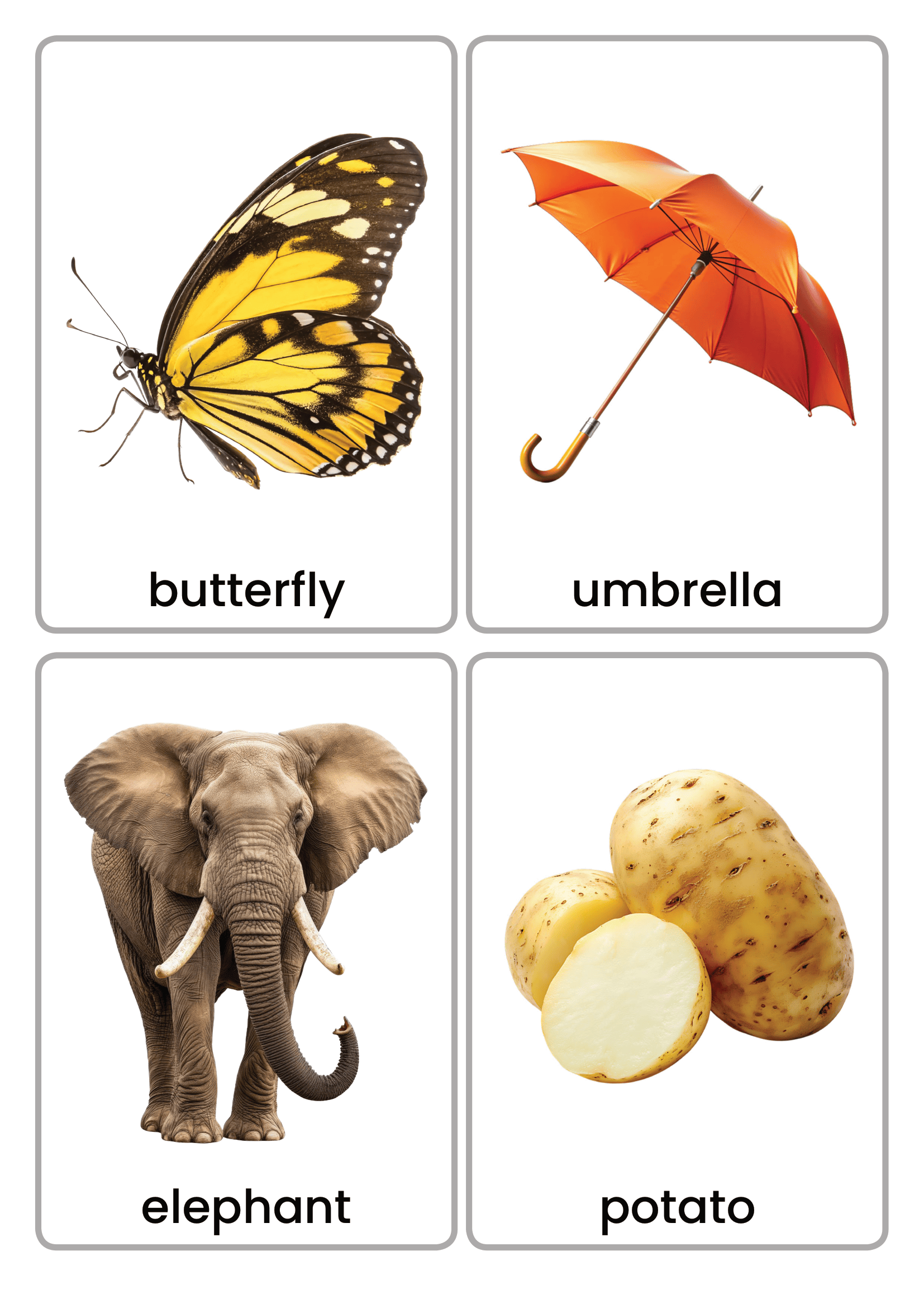 Three-Syllable Words Flashcards | Real Photo Phonics Cards | Early ...