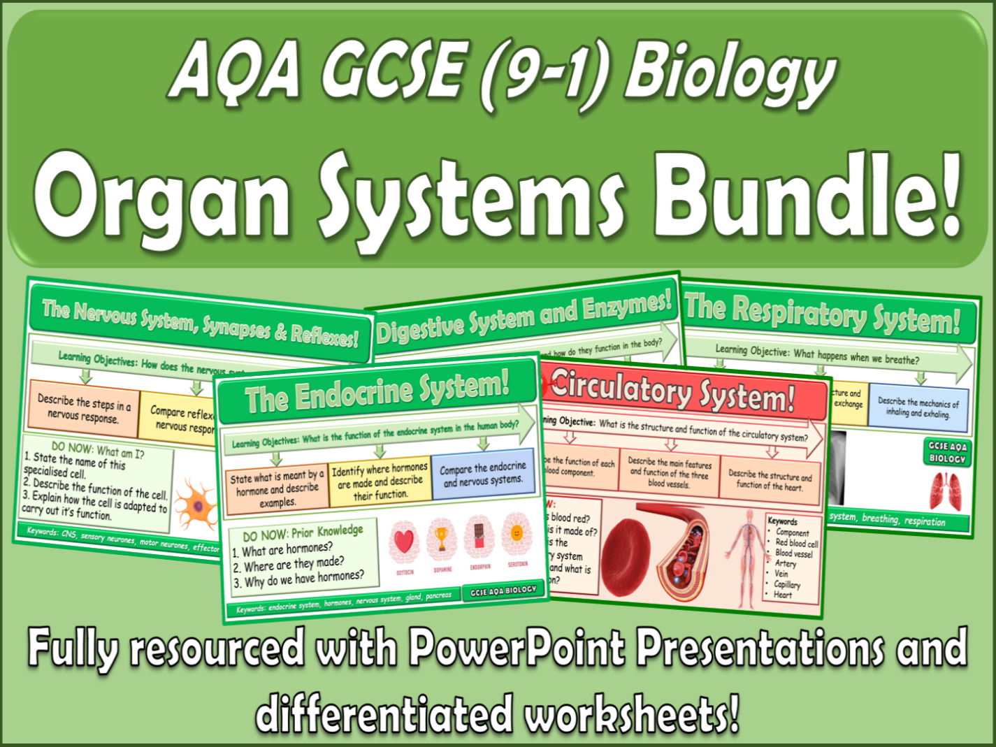 Organ Systems AQA GCSE (9-1) Biology Bundle | Teaching Resources