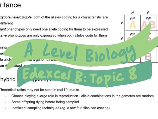 A* Edexcel A Level Biology B Topic 8 - Origins of Genetic Variation ...