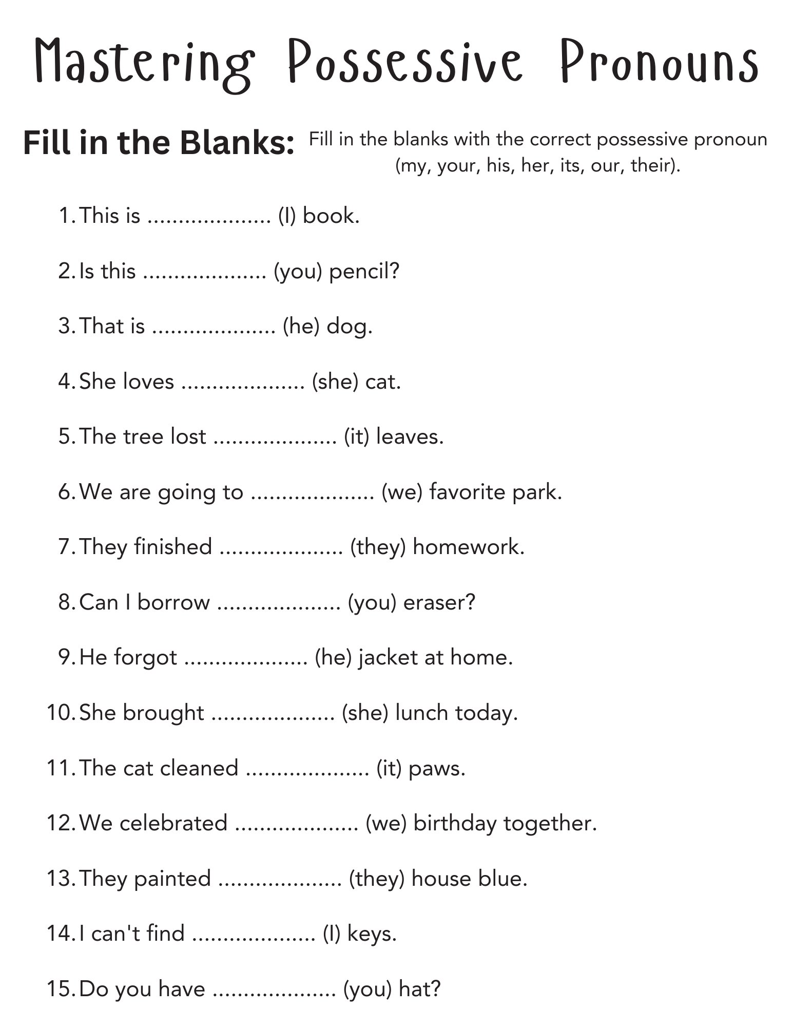 Possessive Pronoun Worksheets Possessive Pronoun Worksheets