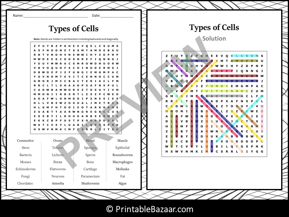 Types of Cells Word Search Puzzle Worksheet Activity | Teaching Resources