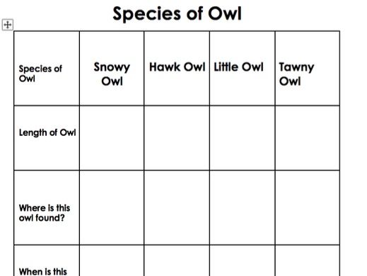 Whole class guided reading non-fiction birds of prey/owls year 4 KS2 ...