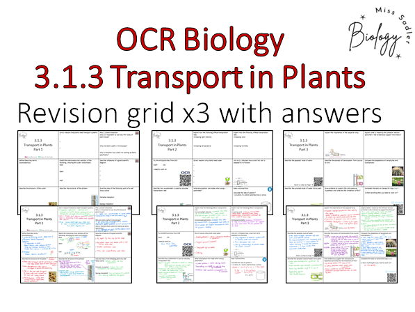 Module 3 revision grid bundle | Teaching Resources