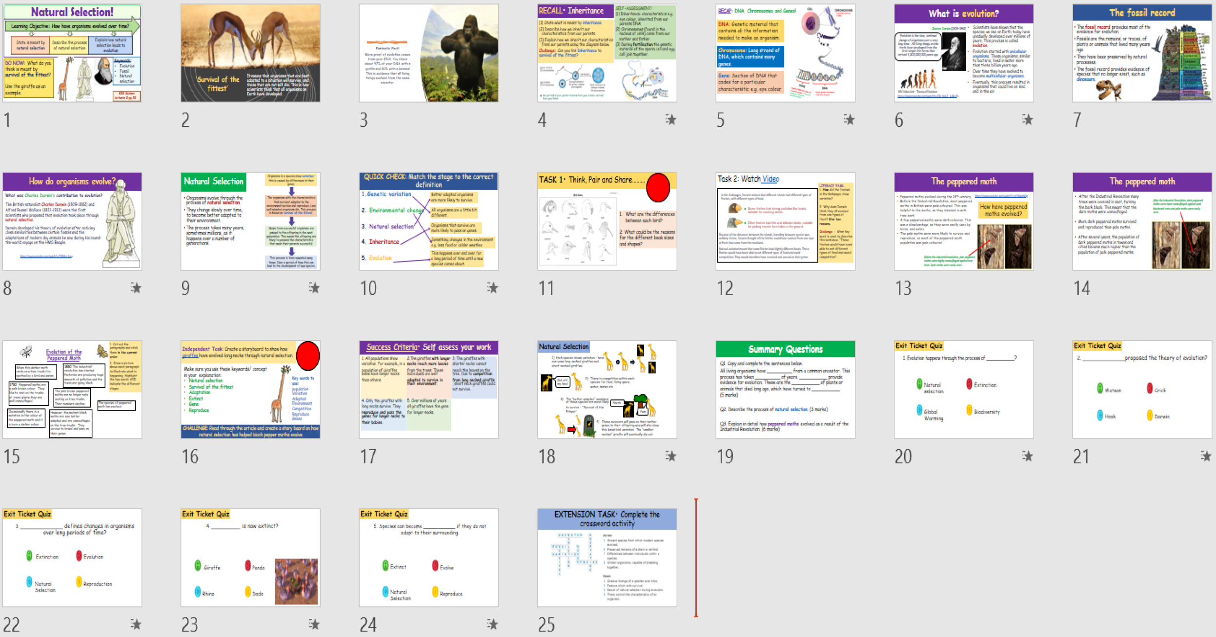 Natural selection KS3 Activate Science | Teaching Resources