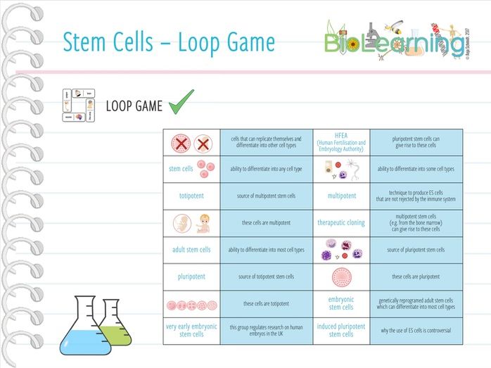Stem Cells - Loop Game (KS5) | Teaching Resources
