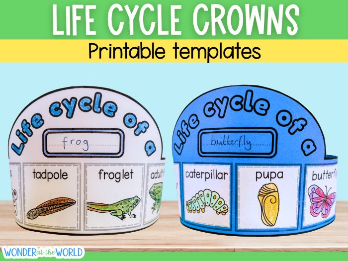 Life cycle crown craft templates for butterfly frog chicken KS1 ...
