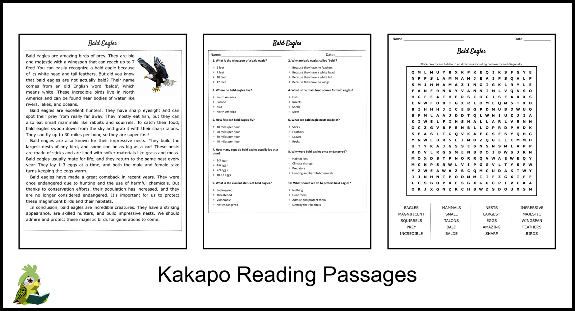 Bald Eagles Reading Comprehension and Word Search | Teaching Resources