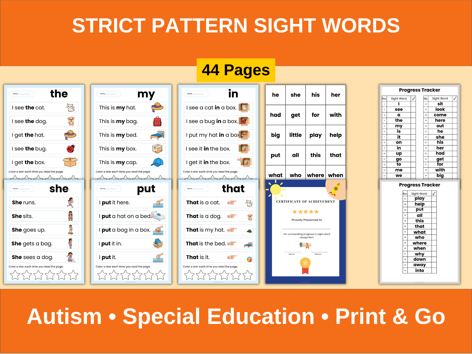 Strict Pattern Sight Words for Autism | Teaching Resources