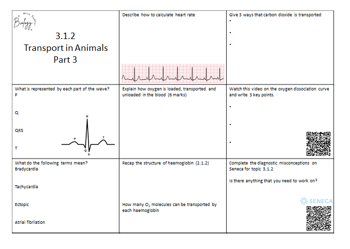 3.1.2 Transport in Animals revision grid OCR A level biology | Teaching ...