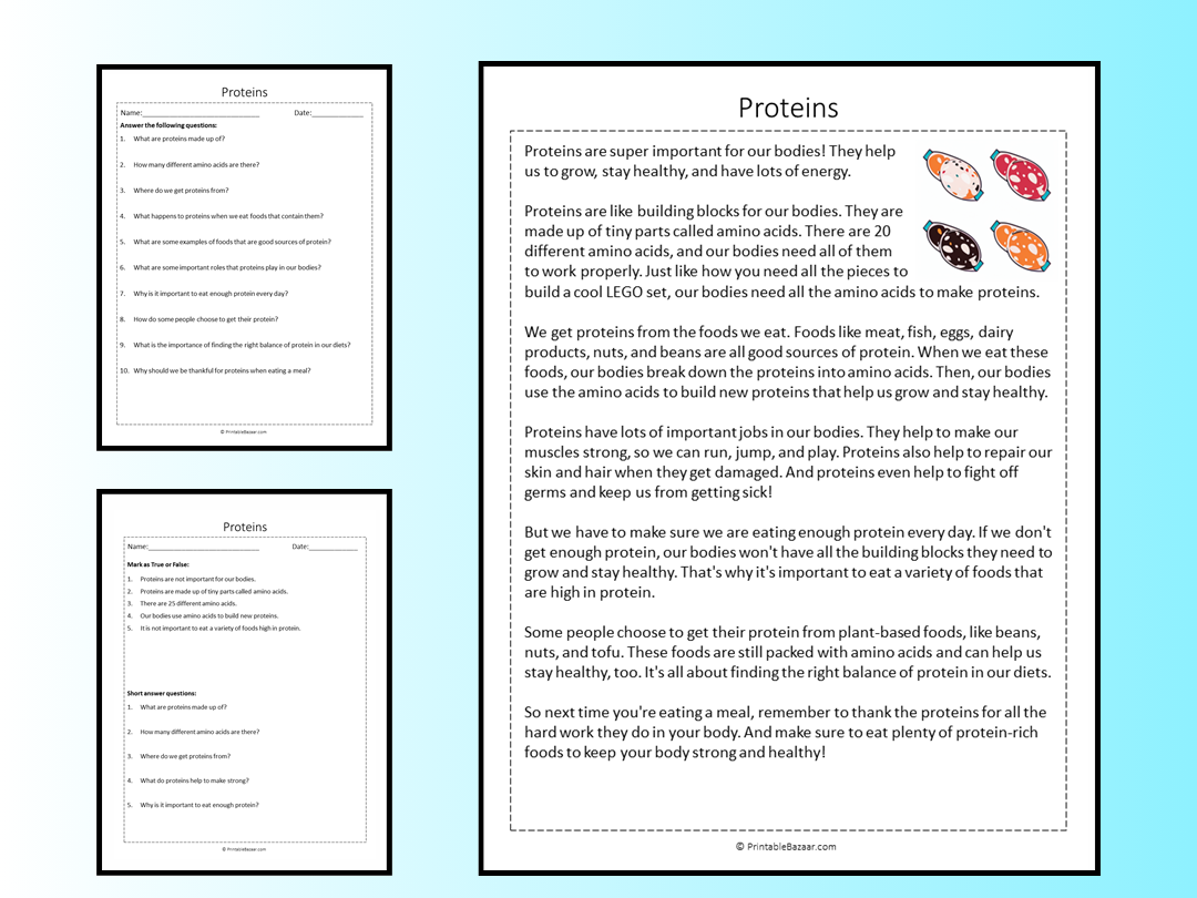 Proteins Reading Comprehension Passage Printable Worksheet | Teaching Resources