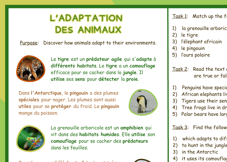 Les adaptations animaux (Animal Adaptations) British Science Week ...