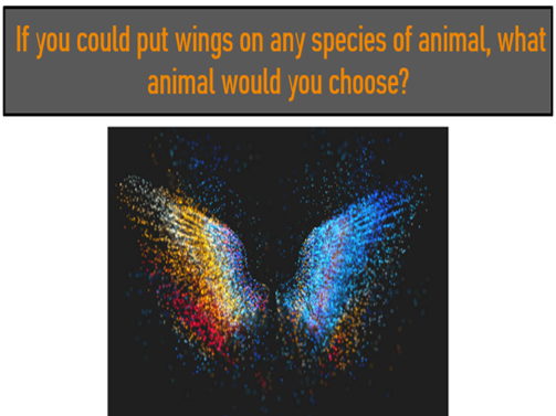 Starter - 'Thunks' | Teaching Resources