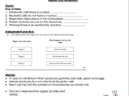 B6 - Inheritance, Variation and Evolution booklet | Teaching Resources