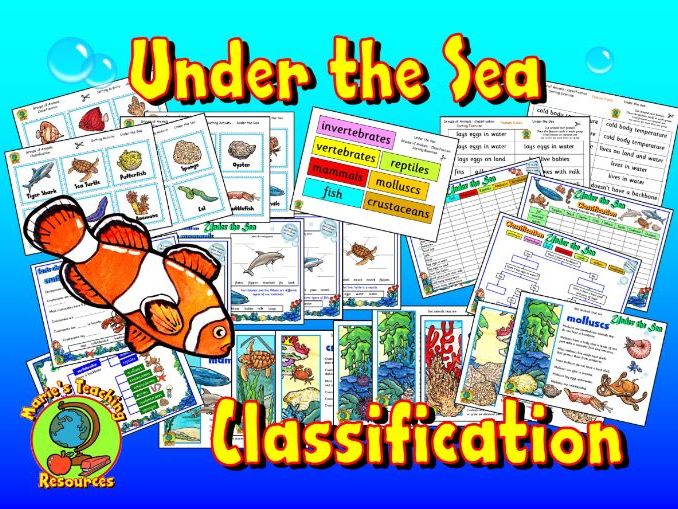Under The Sea - Animal Classification | Teaching Resources
