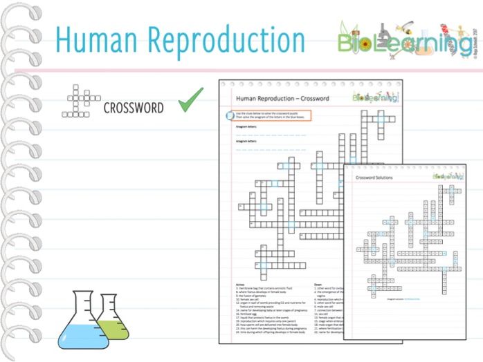 Human Reproduction Crossword KS3 By Anjacschmidt Teaching Resources Human Reproduction Crossword KS3 By Anjacschmidt Teaching Resources