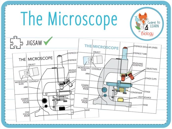 Microscope - Jigsaw Puzzle (KS3/4) | Teaching Resources