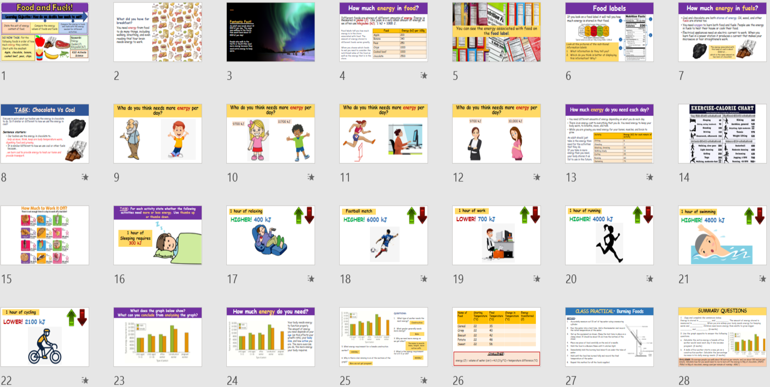 Food and Fuels KS3 Activate Science | Teaching Resources