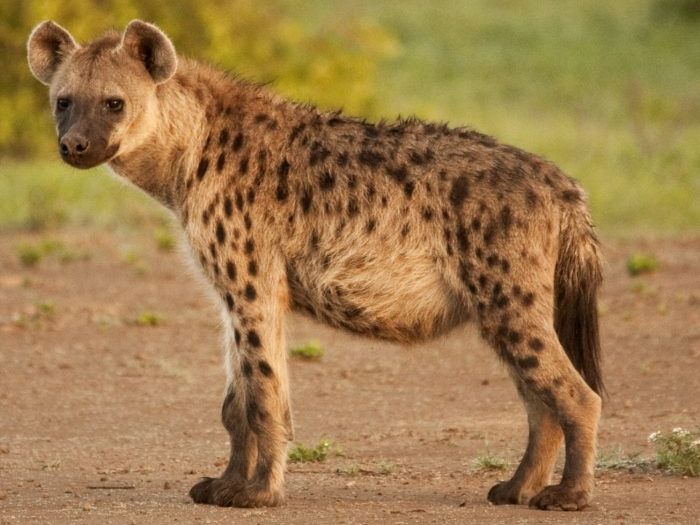 AQA English Language Paper 1 Questions 1 and 2 | Teaching Resources