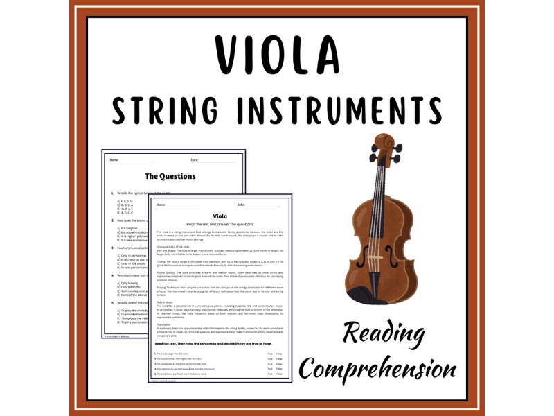 Viola Reading Comprehension Passages & Questions Worksheets | Teaching ...